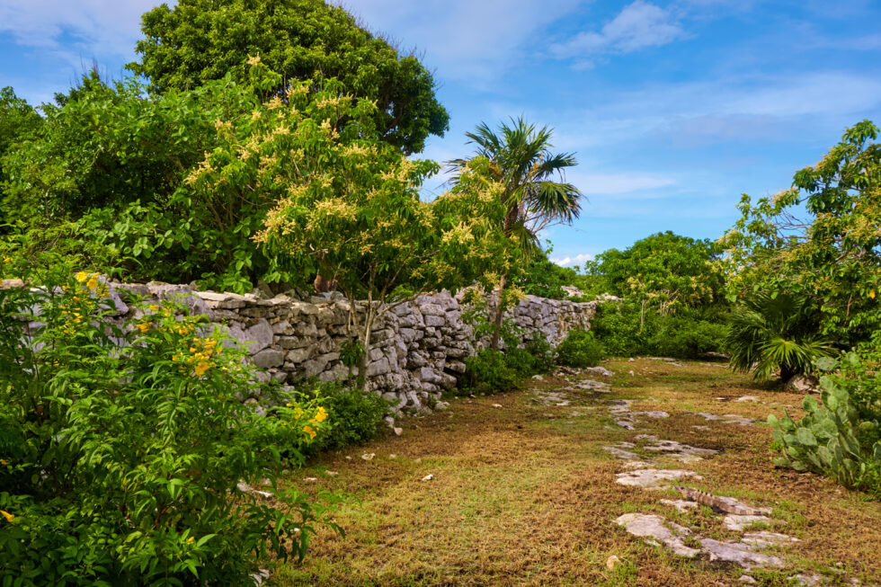 Tulum: The City that Greets the Dawn - rcquinn.com