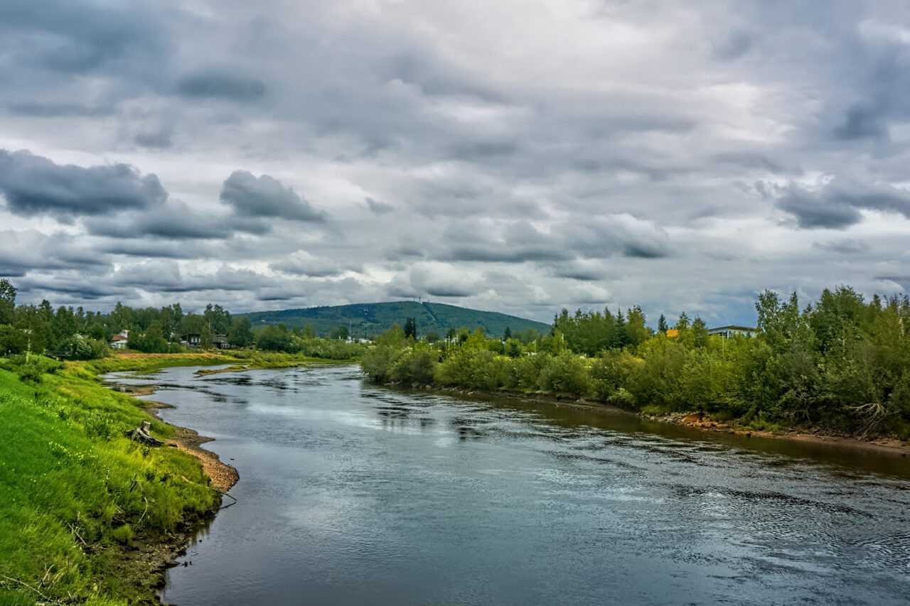 Alaska Road Trip: The Grand Circle: From Tok to Denali | rcquinn.com