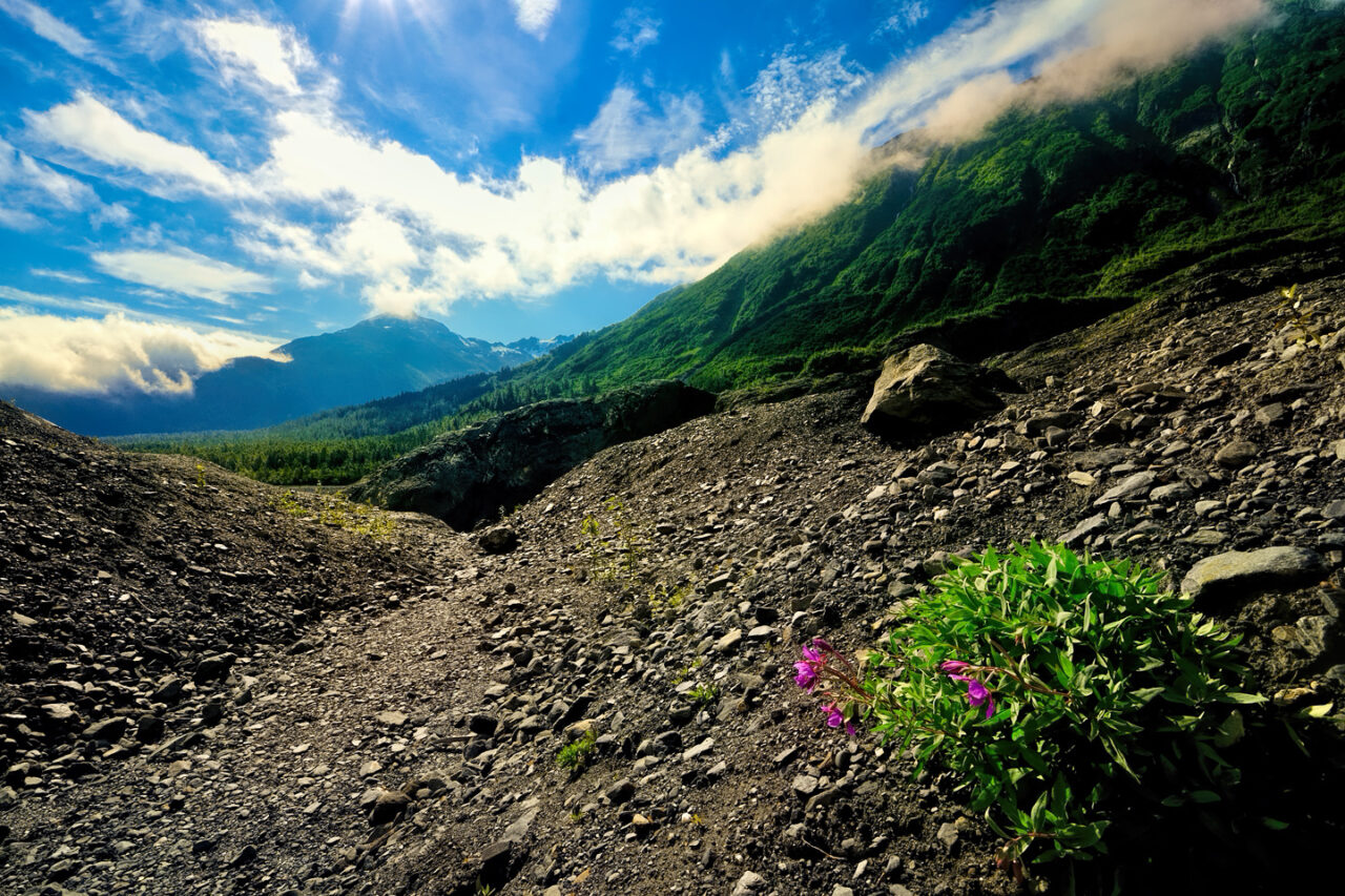 Kenai Fjords National Park: Exit Glacier: Up Close and Personal ...