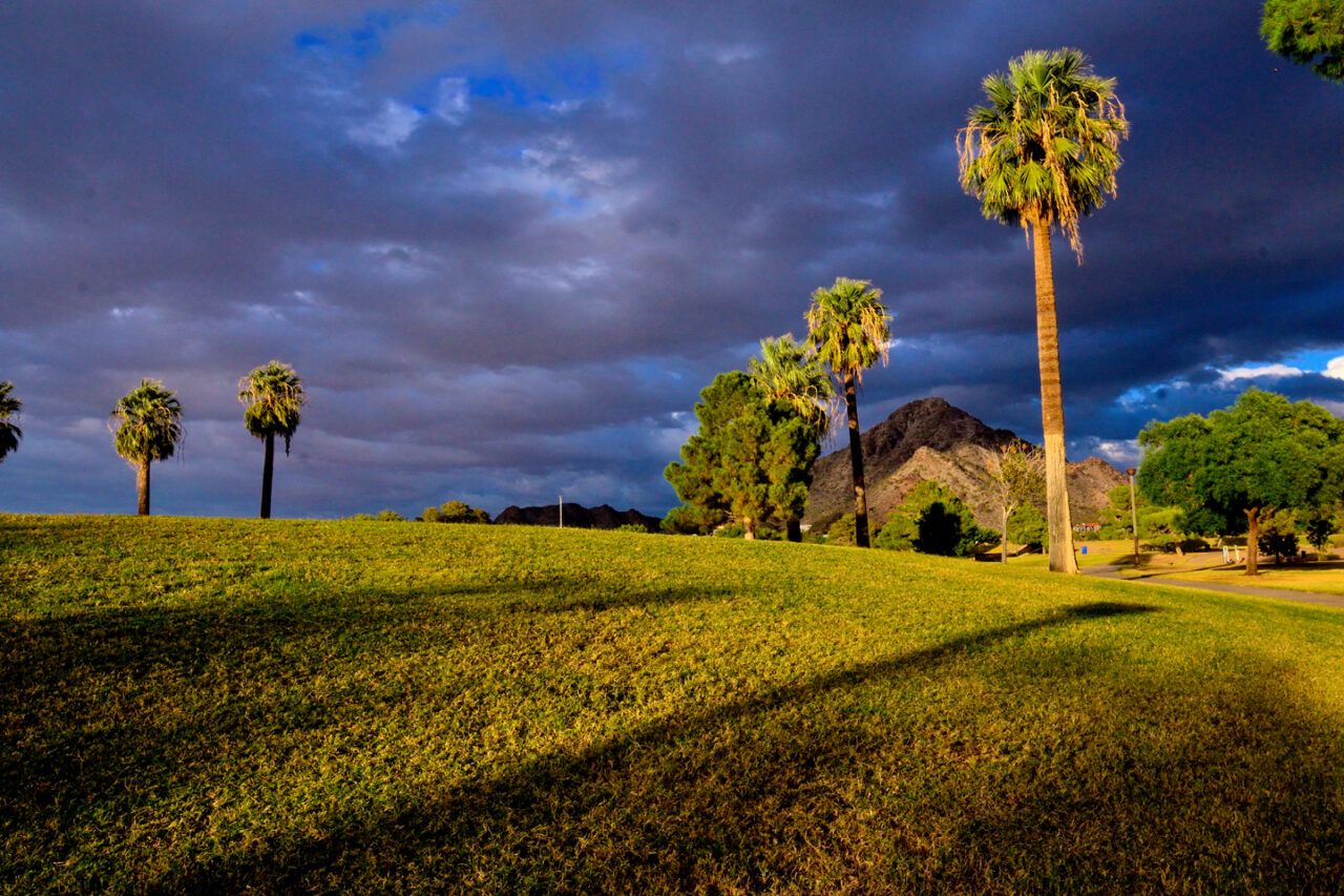 Granada Park: An Avian Oasis in the Heart of Phoenix | rcquinn.com