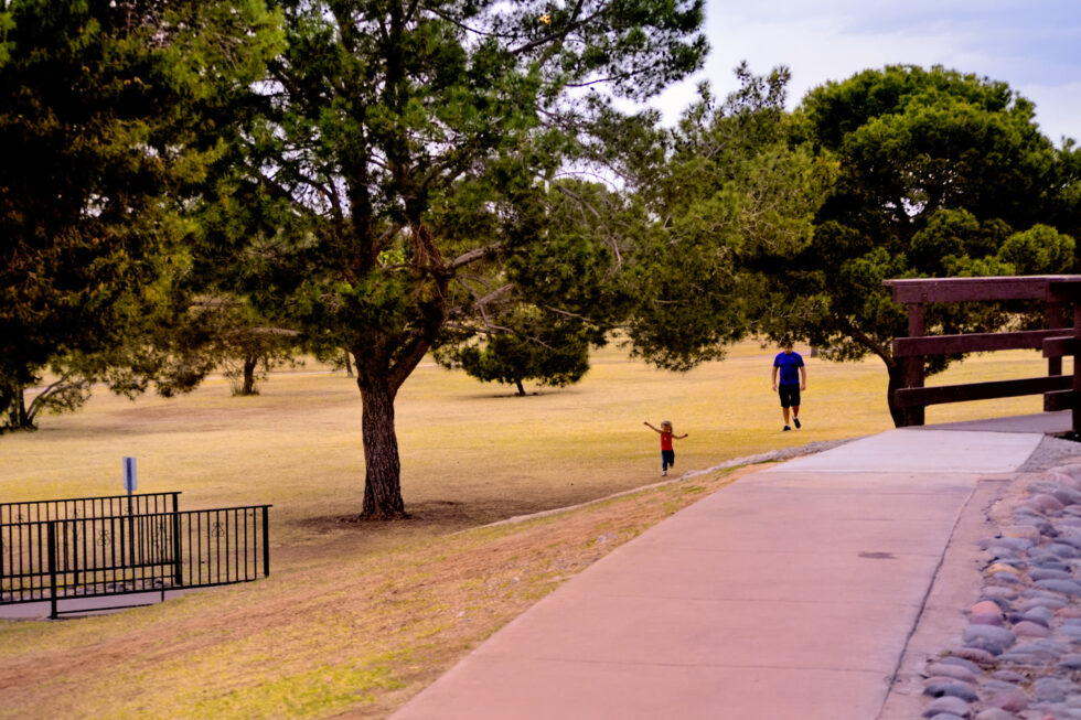 Granada Park: An Avian Oasis in the Heart of Phoenix | rcquinn.com