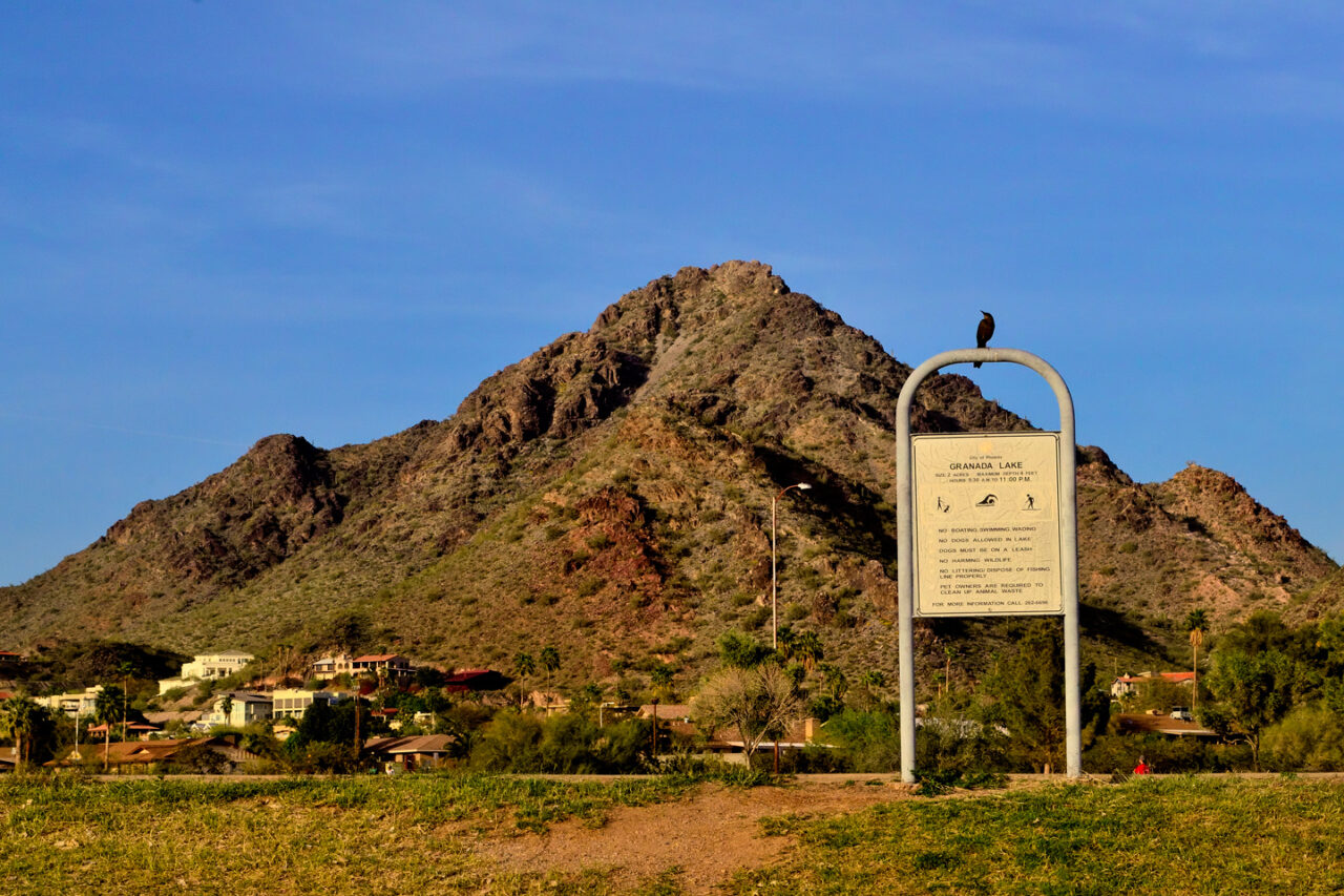 Granada Park: An Avian Oasis in the Heart of Phoenix | rcquinn.com