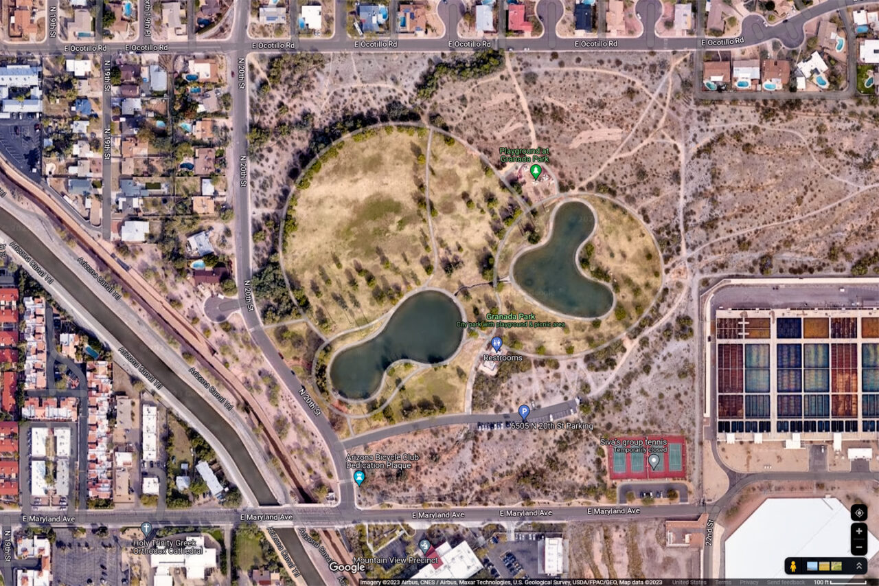 Granada Park: An Avian Oasis in the Heart of Phoenix | rcquinn.com