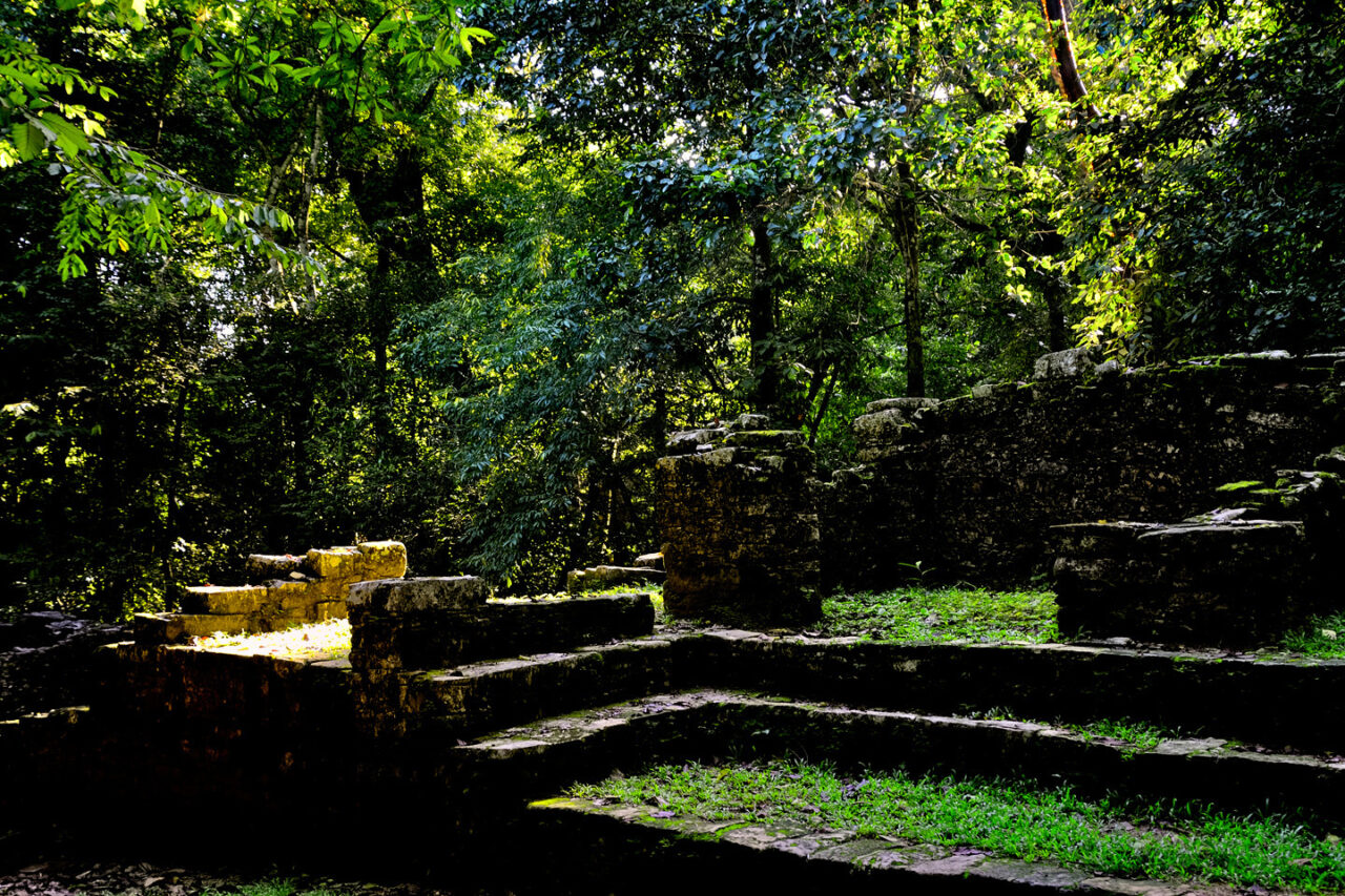 Mexican Road Trip: Mayan Ruins and Waterfalls in the Lacandon Jungle ...