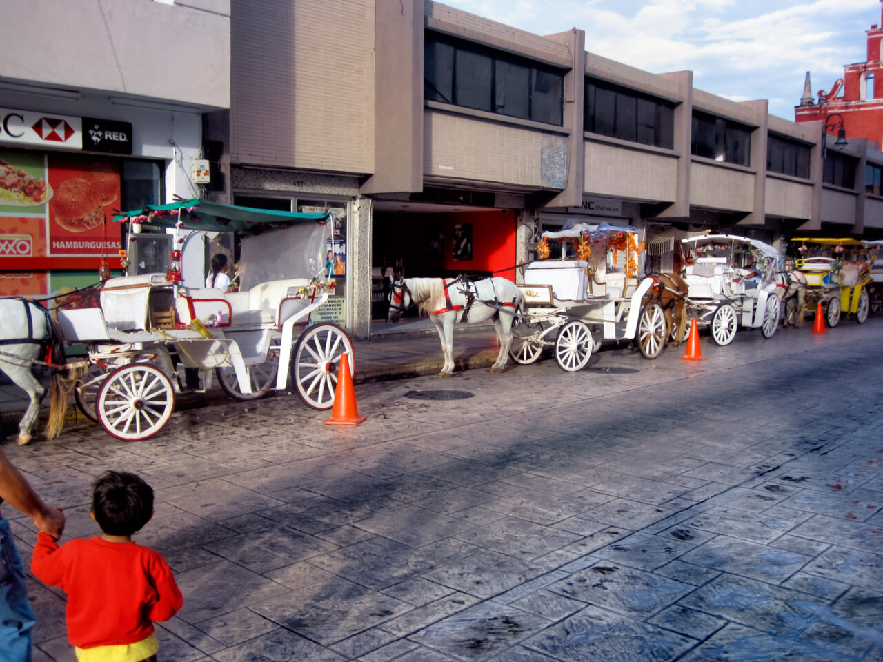 Mexican Road Trip: Merida and the Meridanos | rcquinn.com